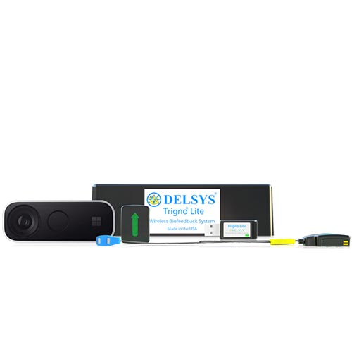 Quote Request - Delsys