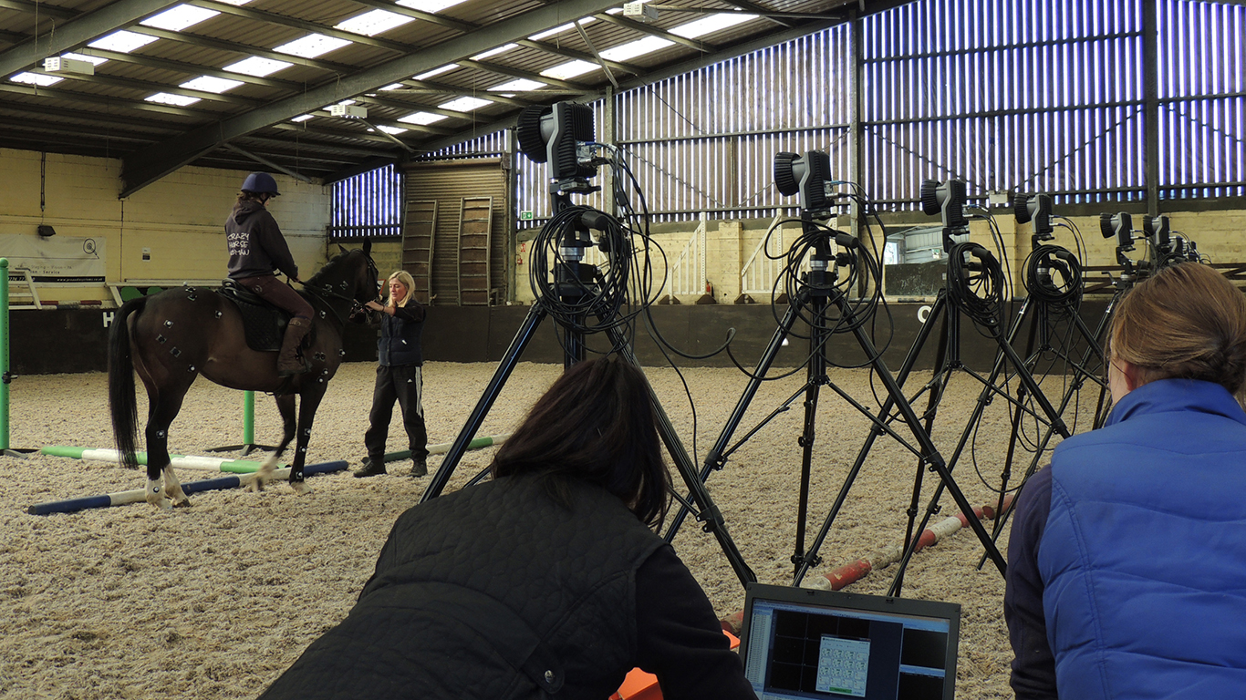 Funded PhD Research Opportunity in Equine Gait Analysis - Delsys