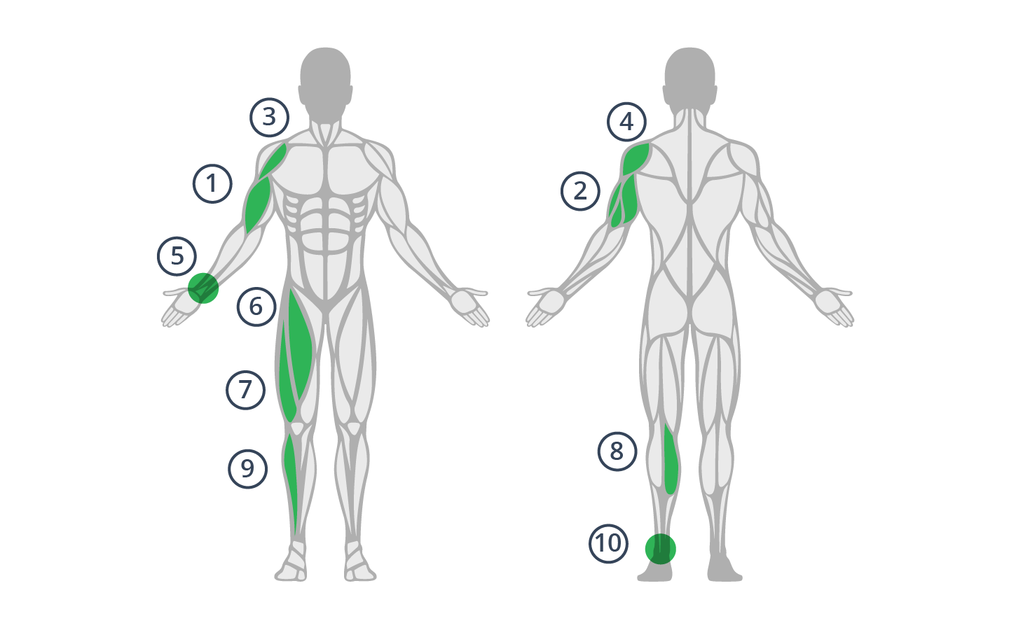 Redefining the Classification System for Paralympic Swimmers - Delsys